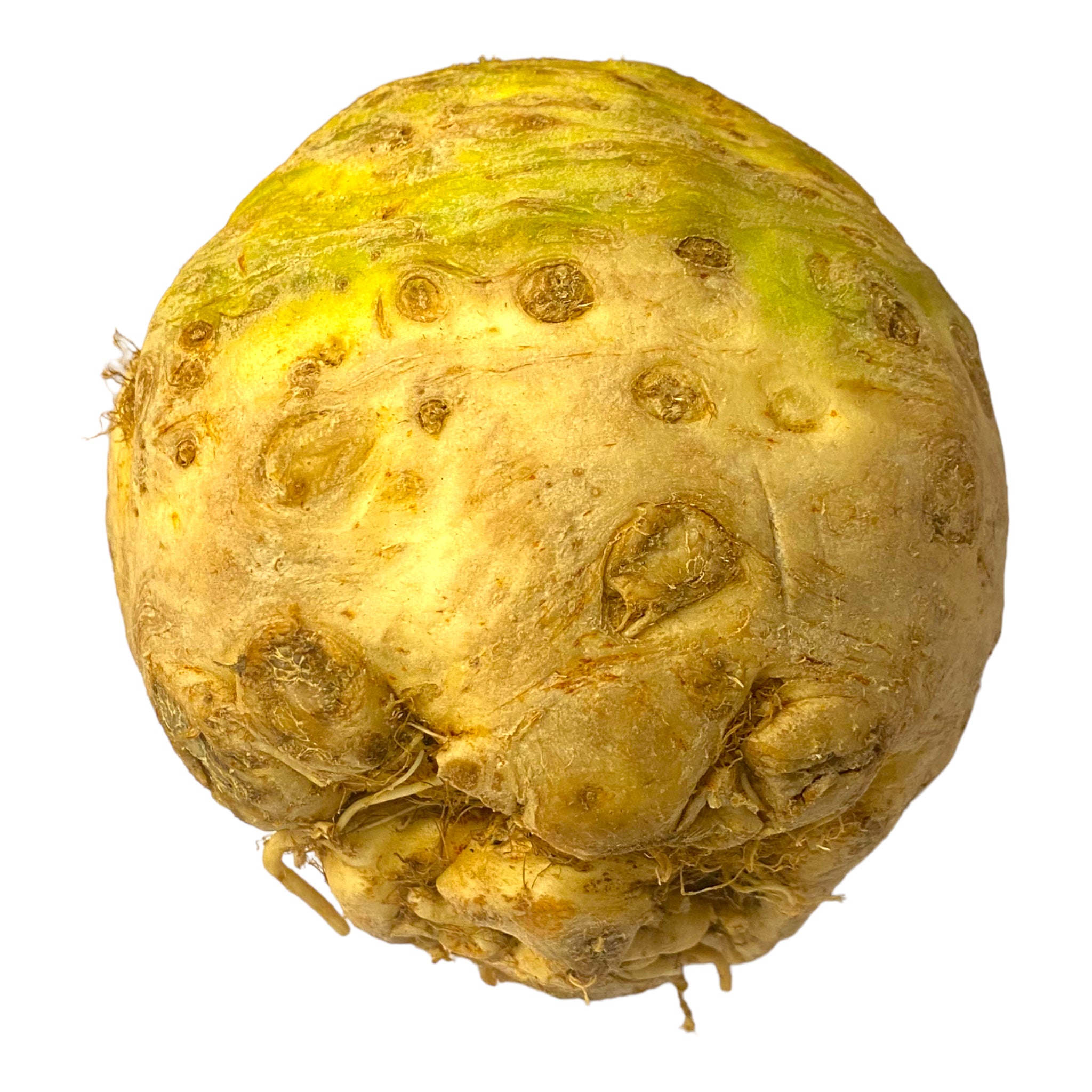 Celeriac - Each