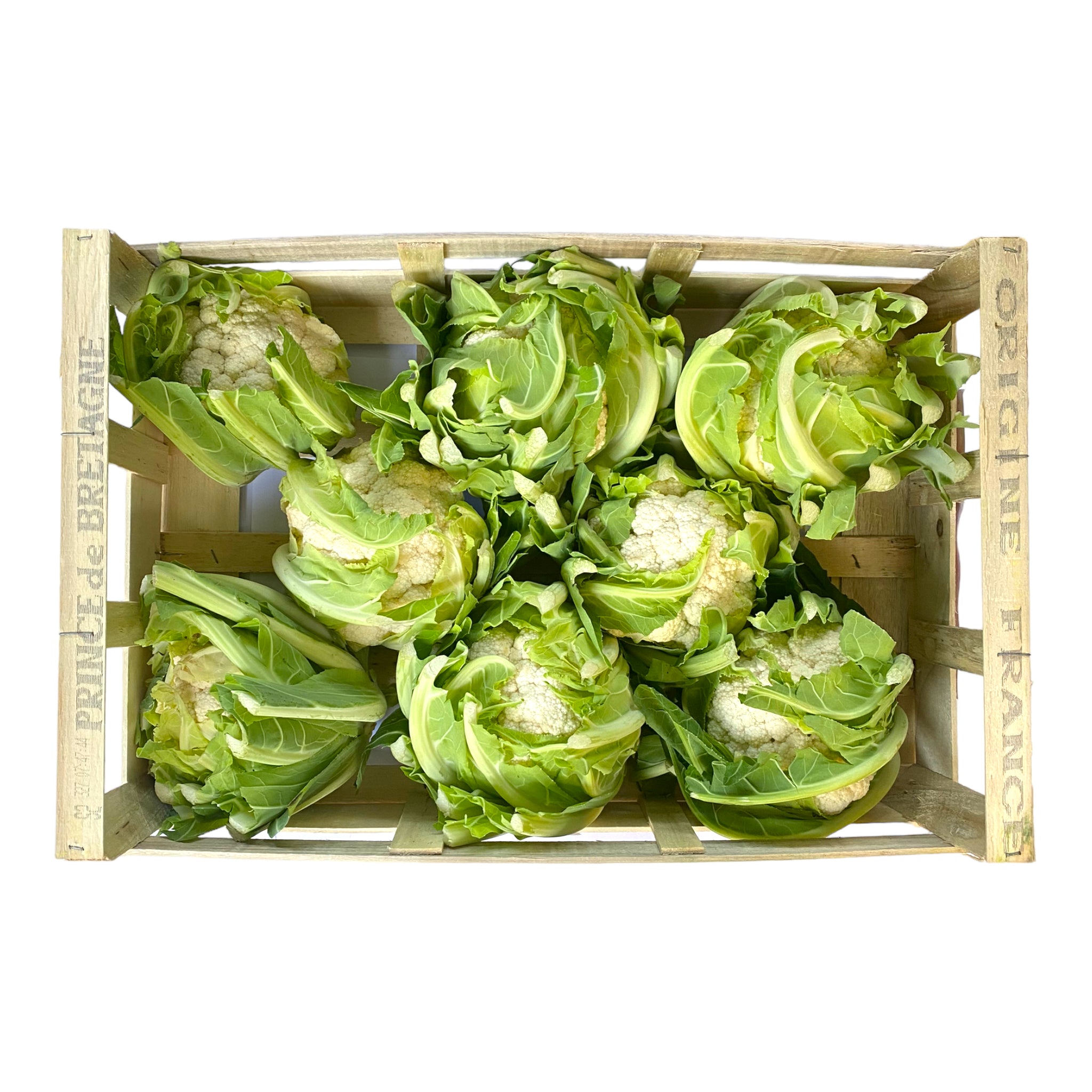 Cauliflower Box Of 8