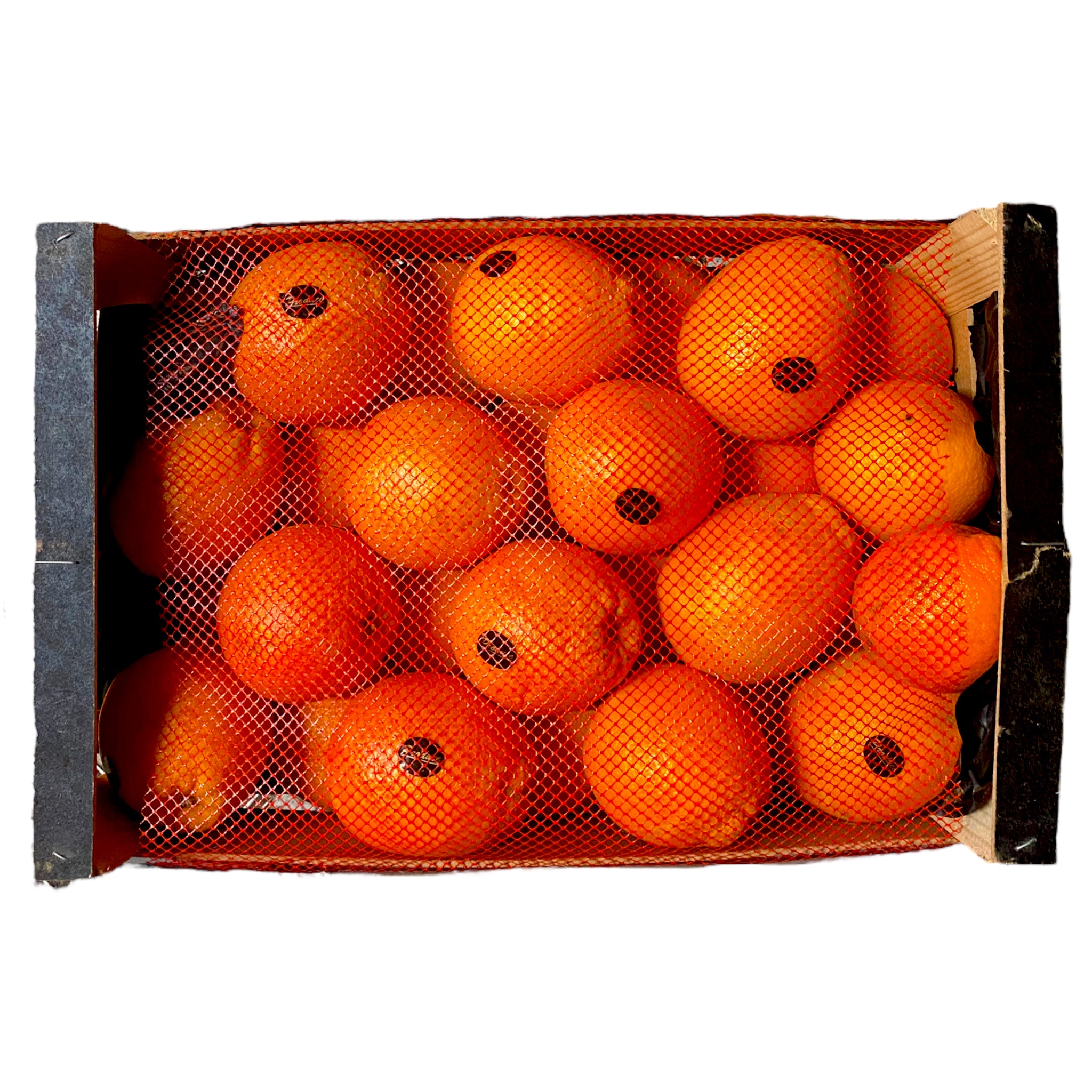 Extra Large Orange Box of 42