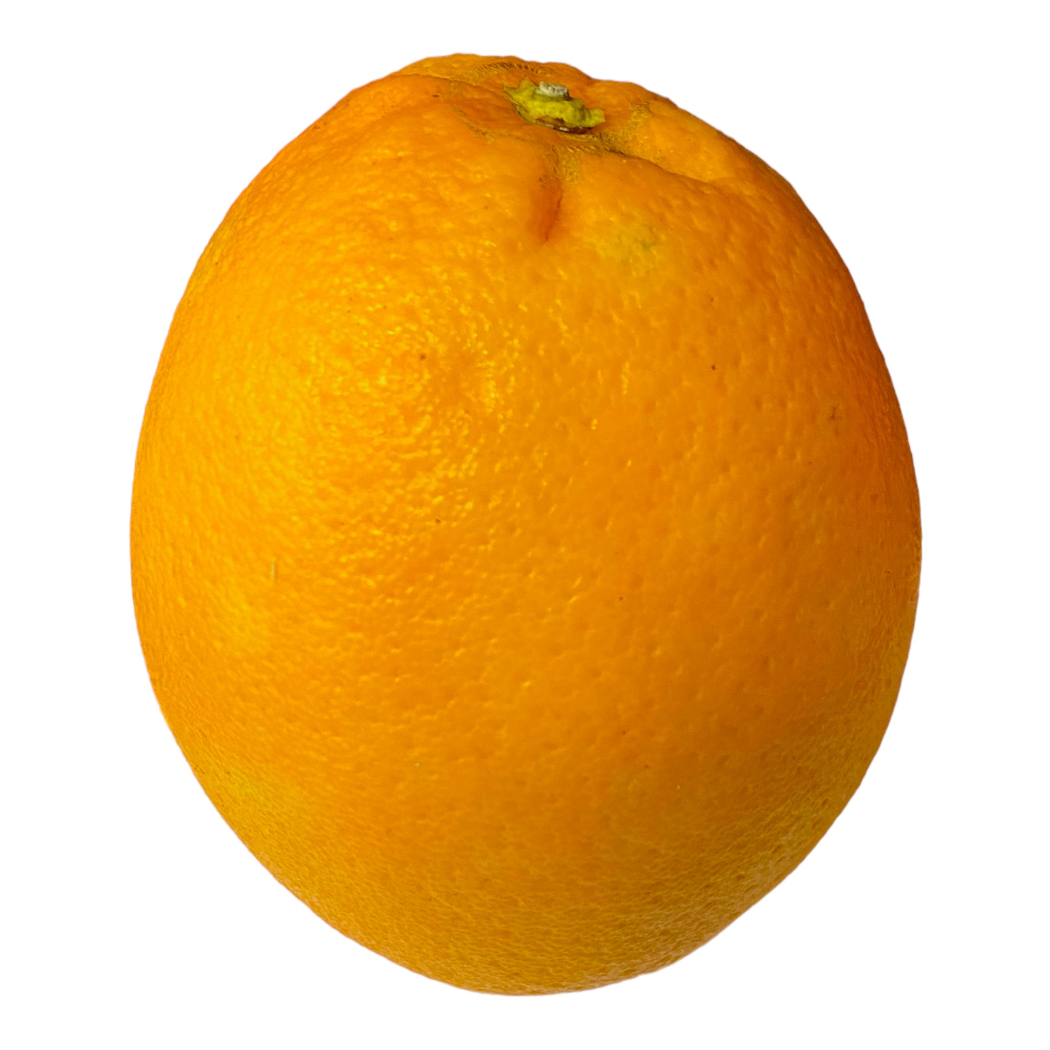 Extra Large Orange - Each