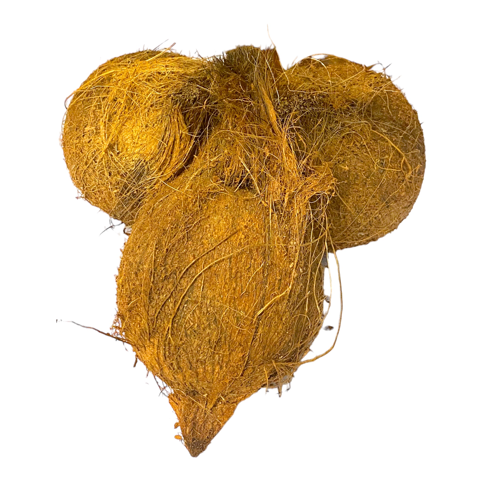 Coconut - Each
