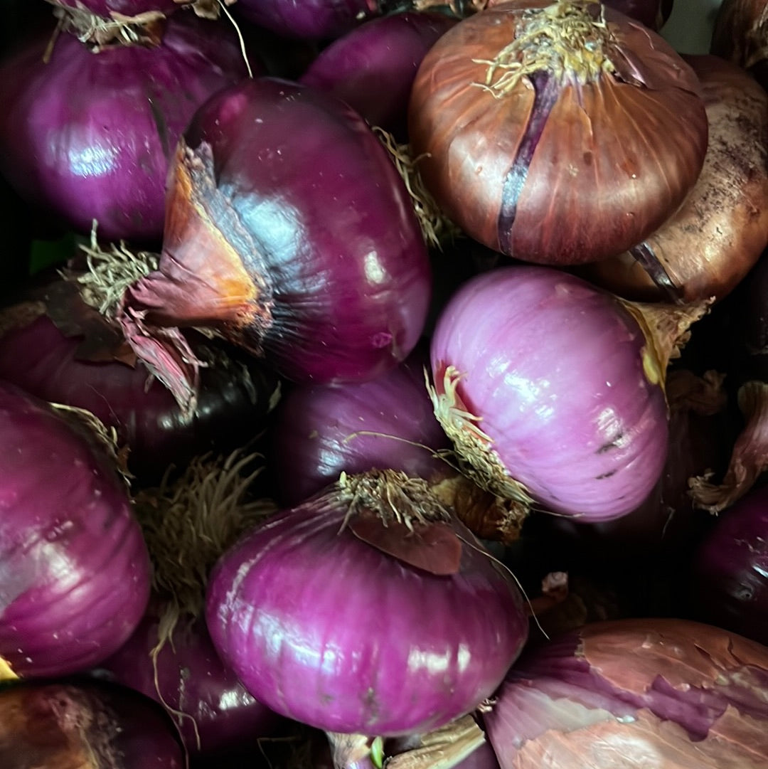 Red Onions - 1KG