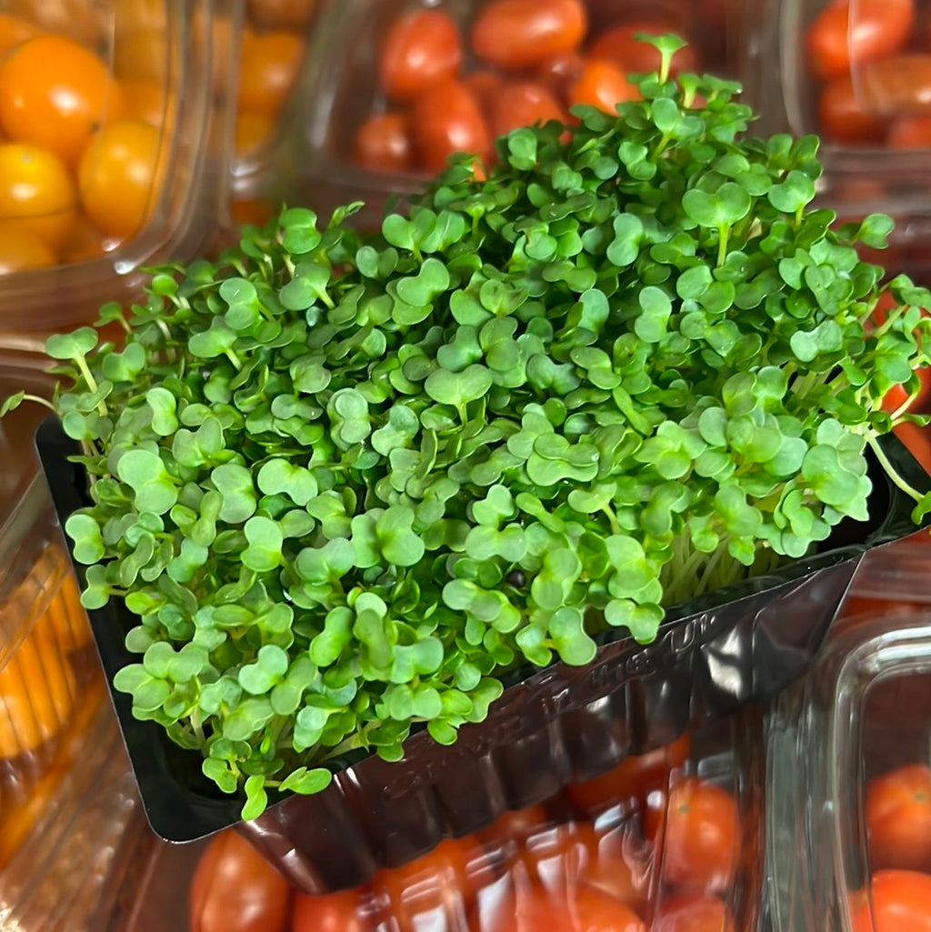 Mustard Cress - Punnet